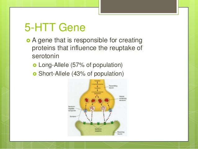 Genetics pp