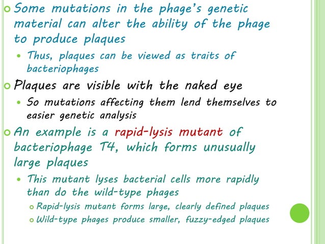 Genetics ppt | PPTX