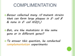 Genetics ppt | PPTX