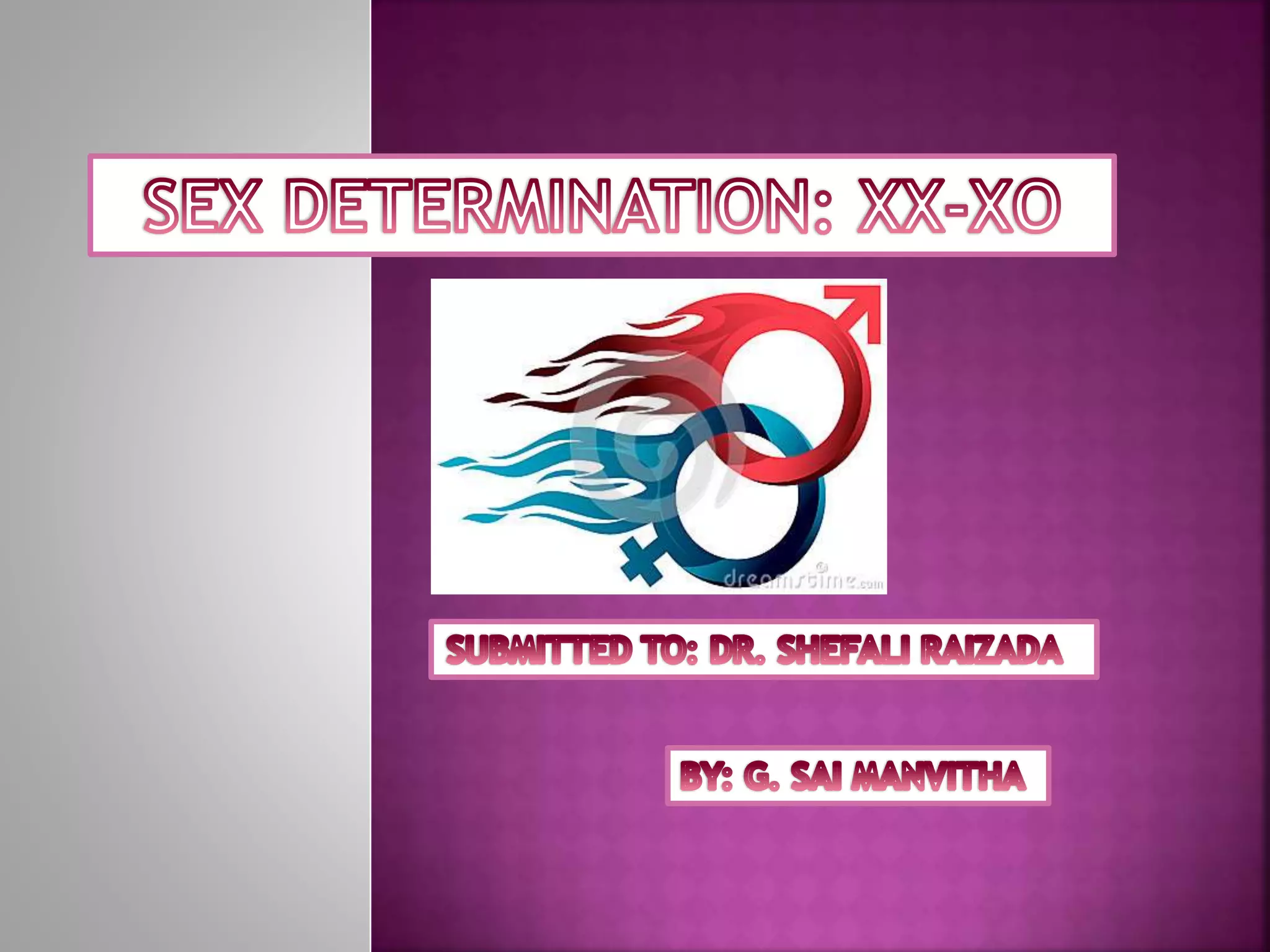 XX-XO Sex Determination | PPTX