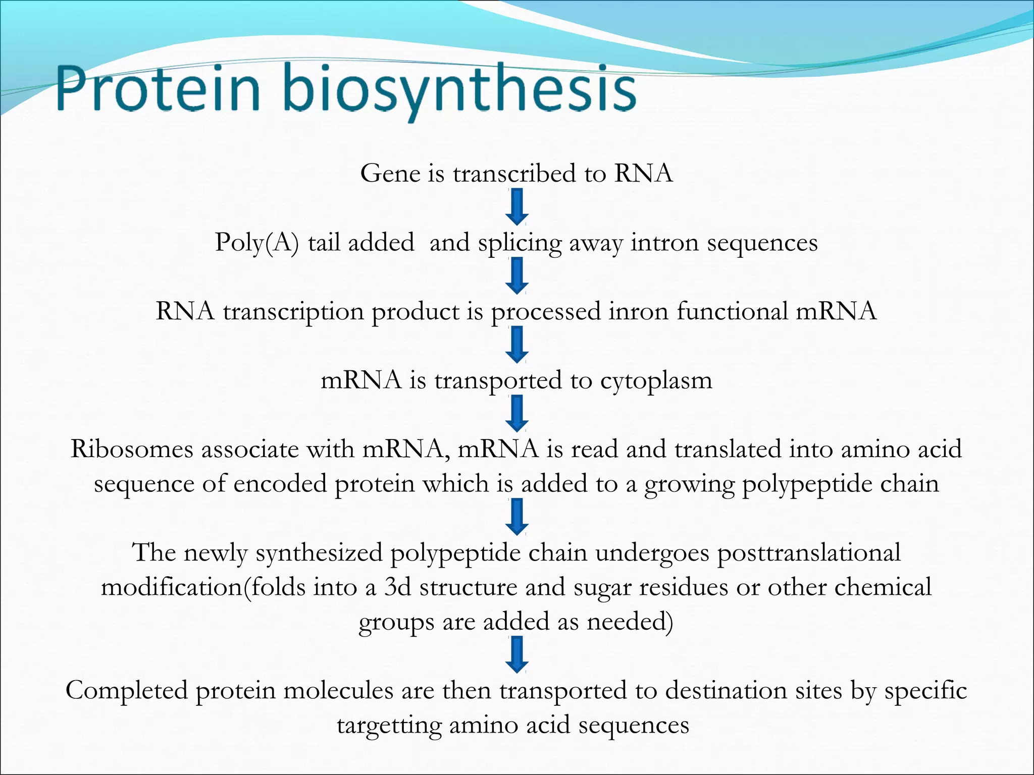 Genetics | PPT | Programming Languages | Computing