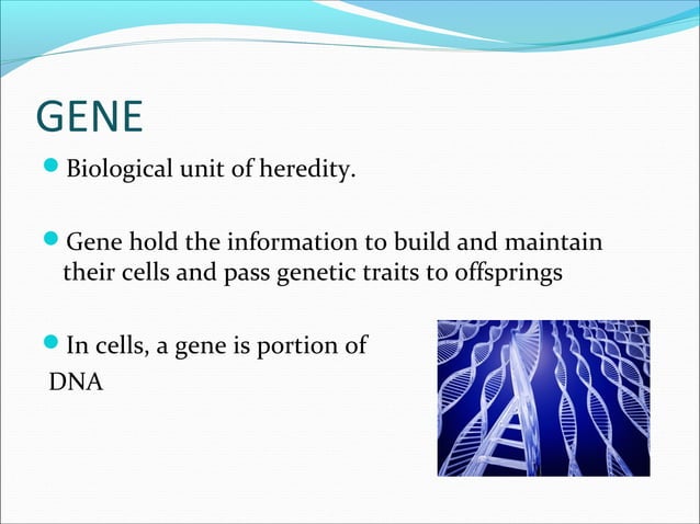 Genetics | PPT | Programming Languages | Computing