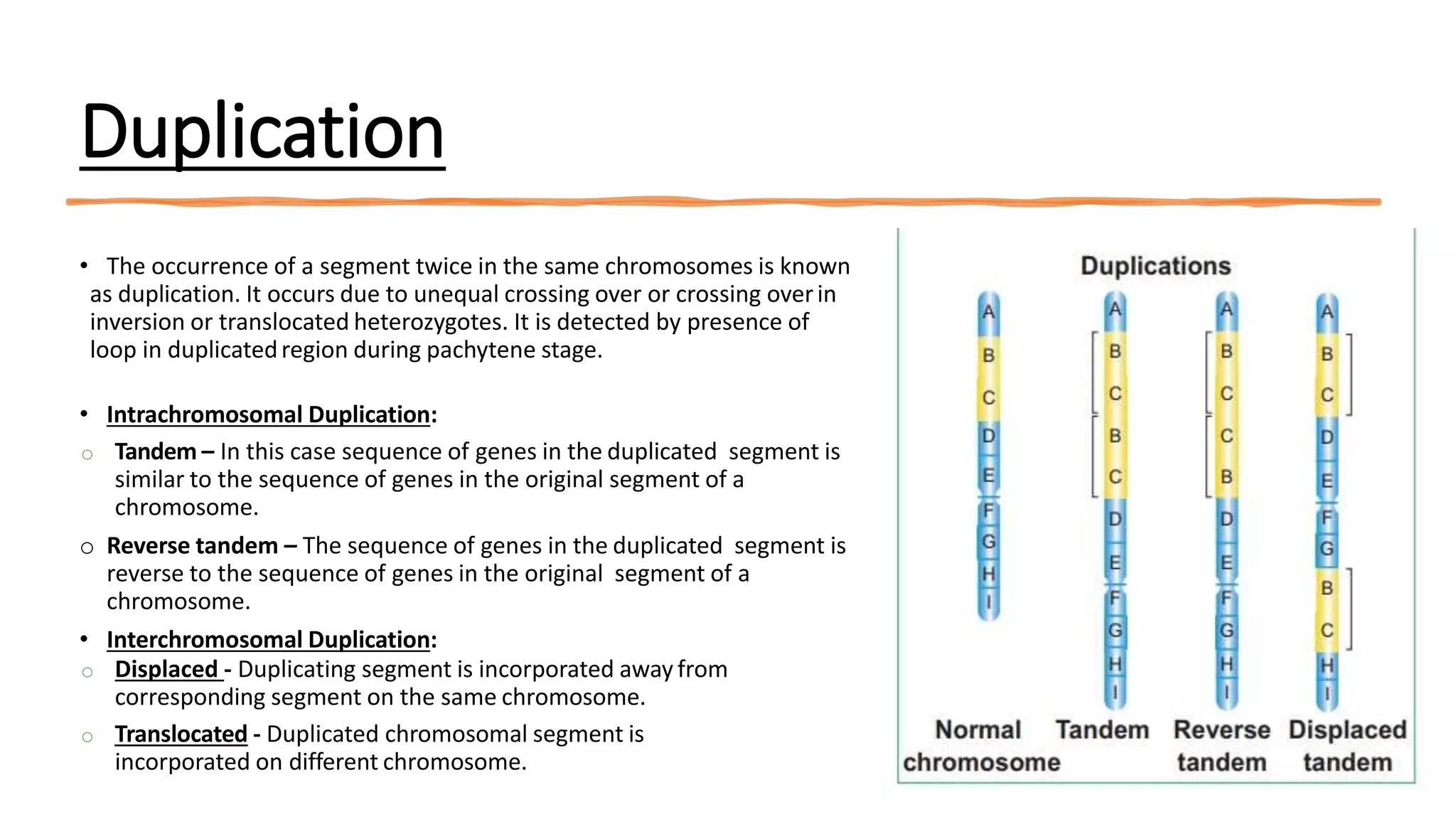 Deletion and Duplication of Chromosomes | PPTX