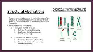 Deletion and Duplication of Chromosomes | PPTX