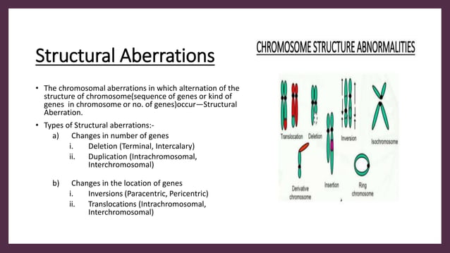 Deletion and Duplication of Chromosomes | PPTX | Genetics | Science