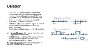 Deletion and Duplication of Chromosomes | PPTX