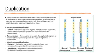 Deletion and Duplication of Chromosomes | PPTX