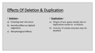 Deletion and Duplication of Chromosomes | PPTX