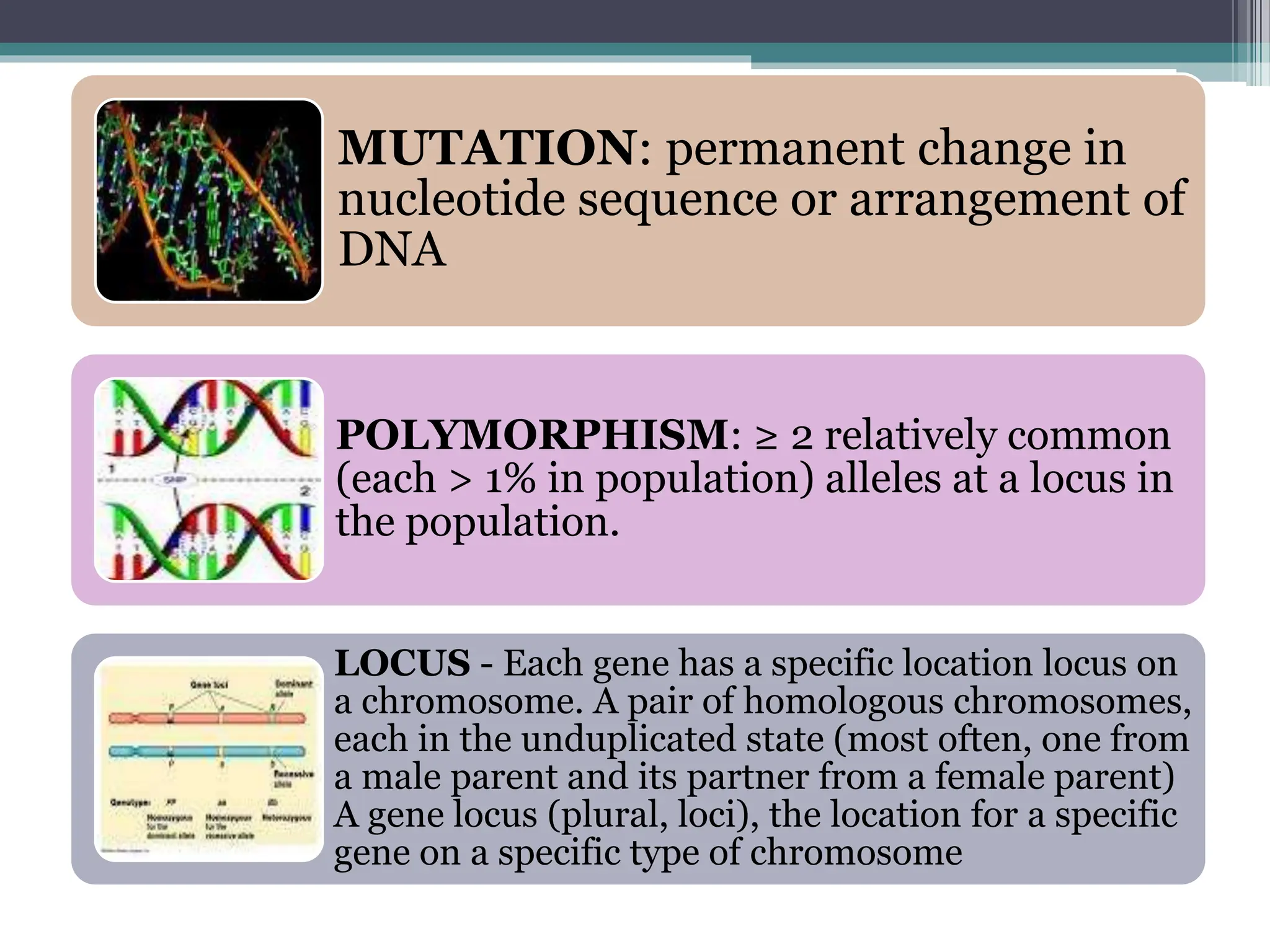 GENETICS PPT.pptx
