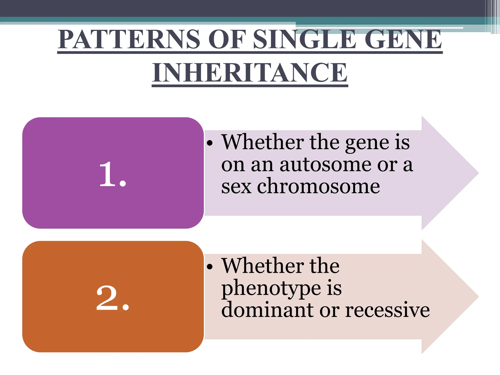 GENETICS PPT.pptx
