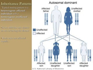 GENETICS ppt...................... -KP.ppt