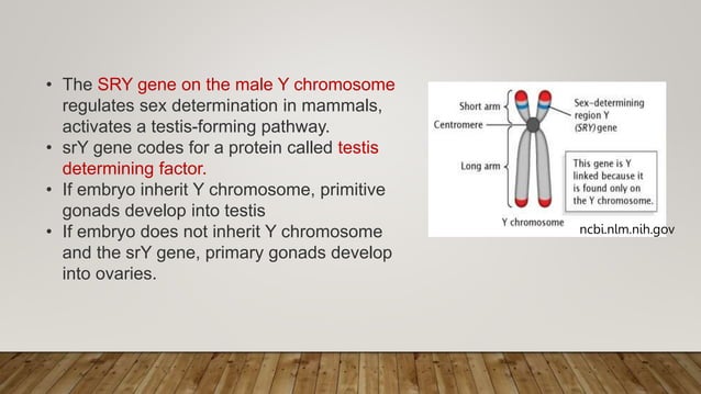 Basic genetics : Sex determination, genetic disorders, chromosomal ...