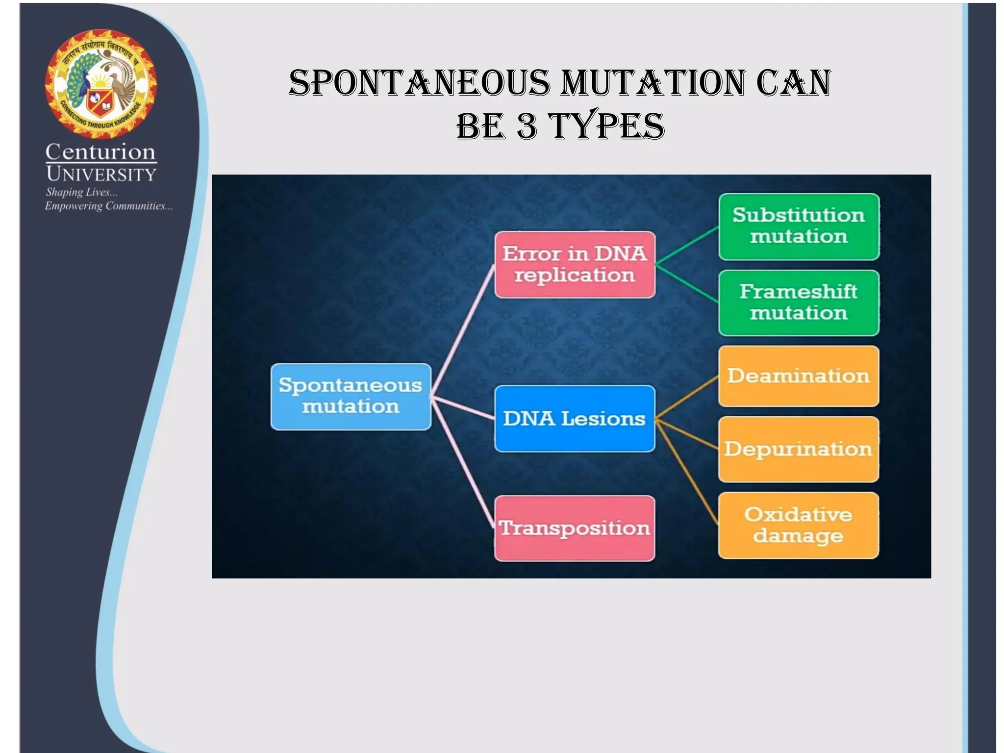 Spontaneous mutation and its causes.Genetics ppt.pptx