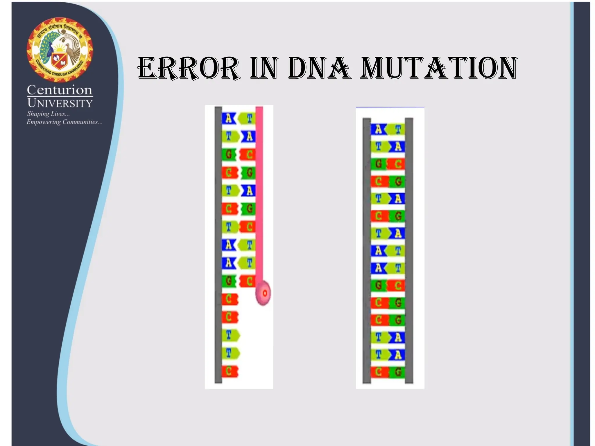 Spontaneous mutation and its causes.Genetics ppt.pptx
