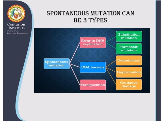 Spontaneous mutation and its causes.Genetics ppt.pptx