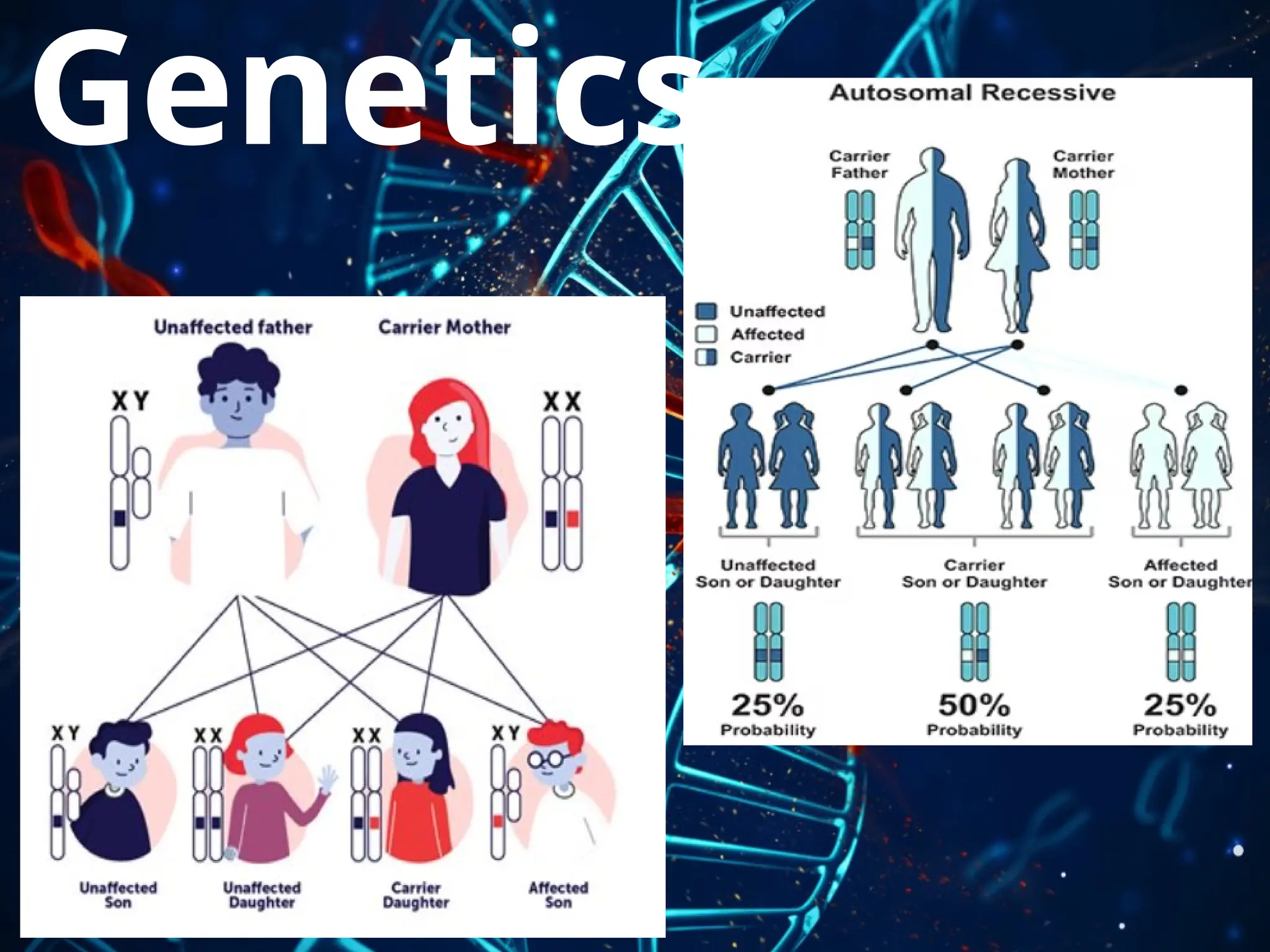 Grade 8 - Inherita nce Genetics PPT.pptx