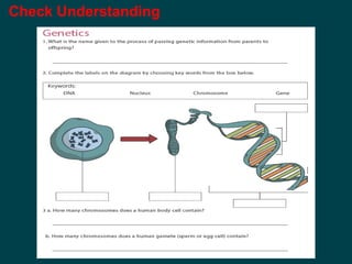 Grade 8 - Inherita nce Genetics PPT.pptx