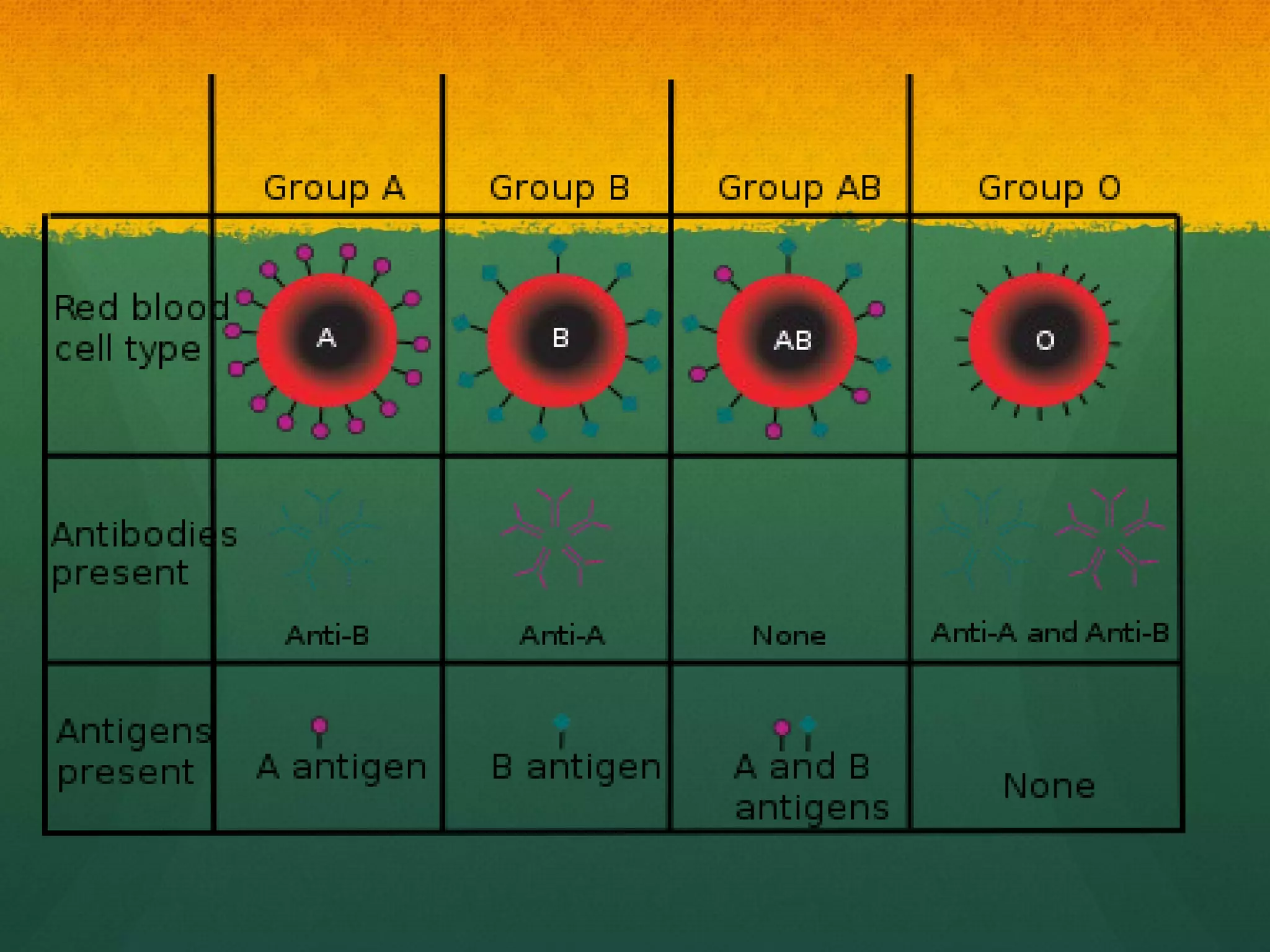 Genetics Ppt By Jiwan Ppt