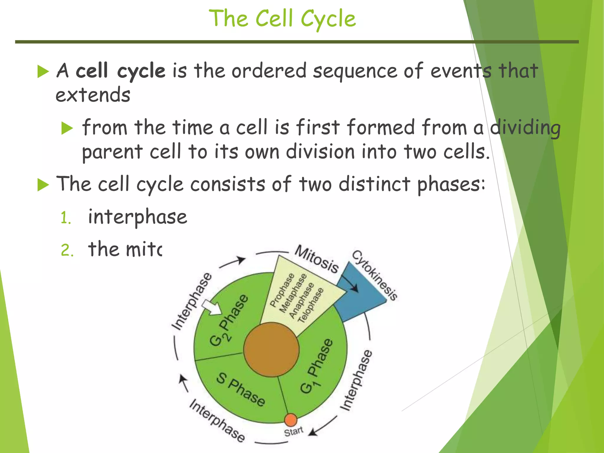 GENETICS PPT CELL CYCLE (1).pptx