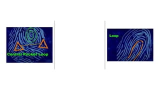 Genetics Practical 5.pptx