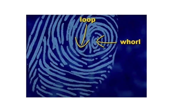 Genetics Practical 5.pptx