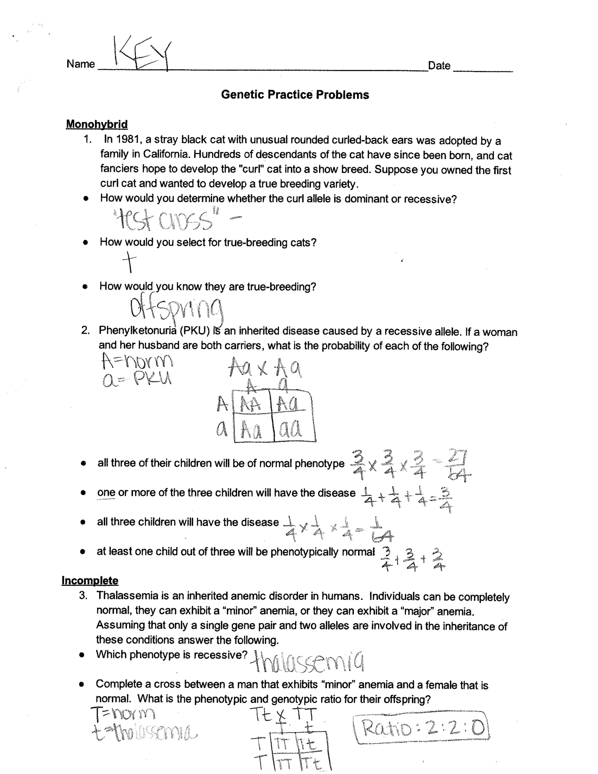 Genetics practice q key | PDF