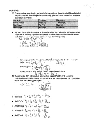 Genetics practice q key | PDF