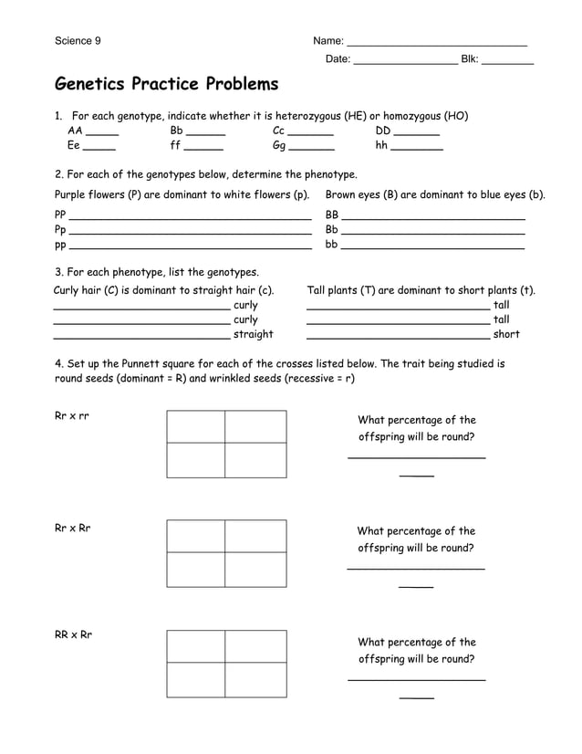 Sci 9 Genetics Practice Problems | PDF