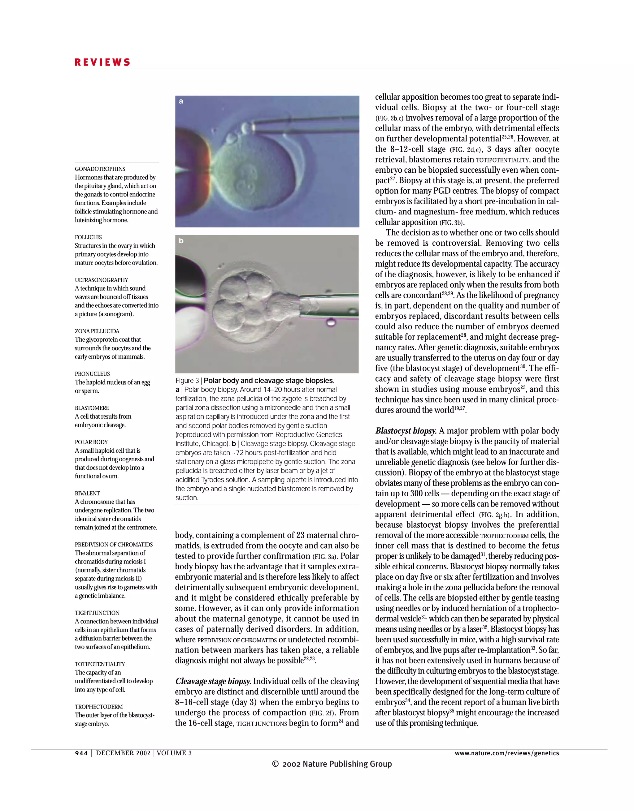 Genetics preimplantation | PDF | Infertility | Reproductive Health
