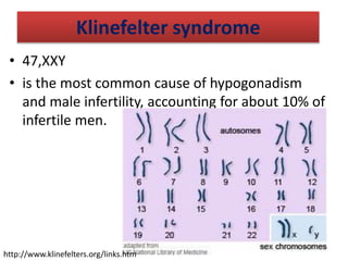 Chromosomal Disorders | PPTX