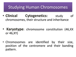 Chromosomal Disorders | PPTX