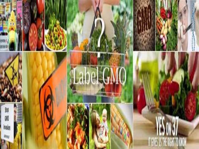 Genetically Modified Organisms (Issues regarding Labelling). | PPT