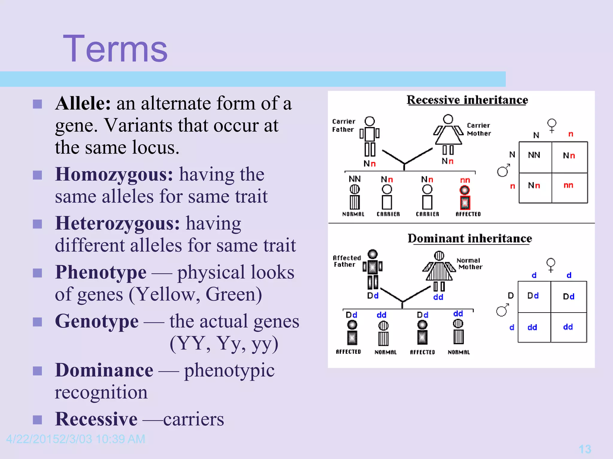 Genetics presentation ’15 | PPTX