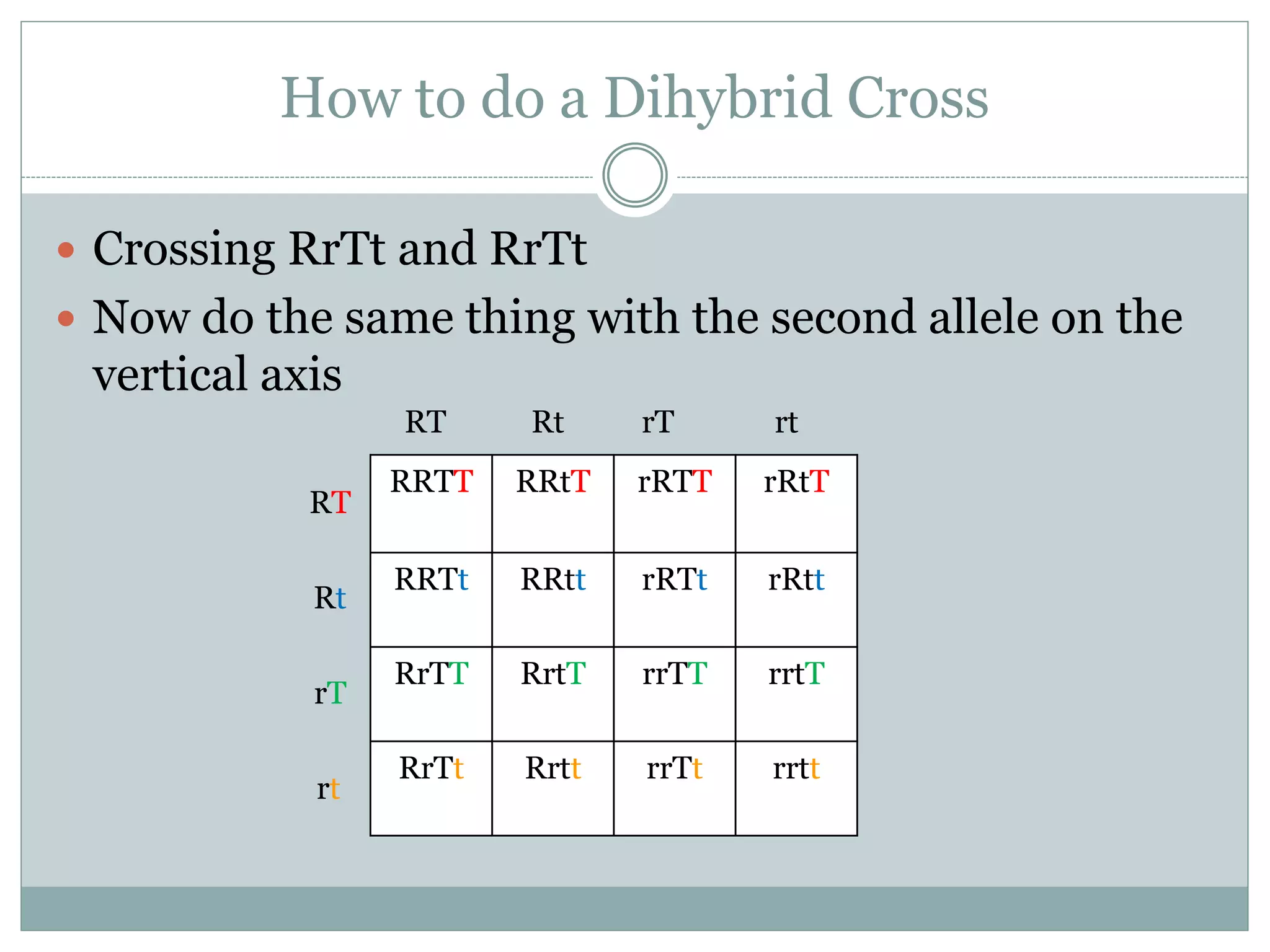 Genetics and Inheritance | PPTX