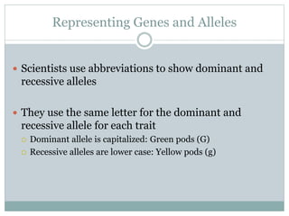 Genetics and Inheritance | PPTX