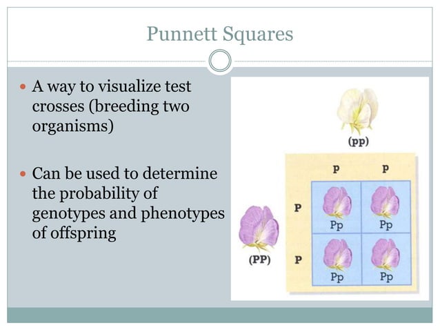 Genetics and Inheritance | PPTX | Gardening | Home & Garden