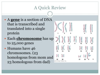 Genetics and Inheritance | PPTX
