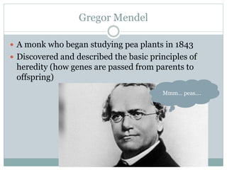 Genetics and Inheritance | PPTX