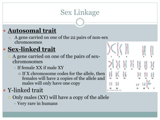 Genetics and Inheritance | PPTX