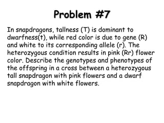 GeneticsProblems.ppsx