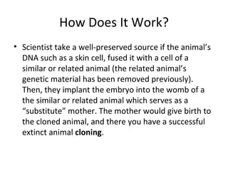 Genetics project | PPT