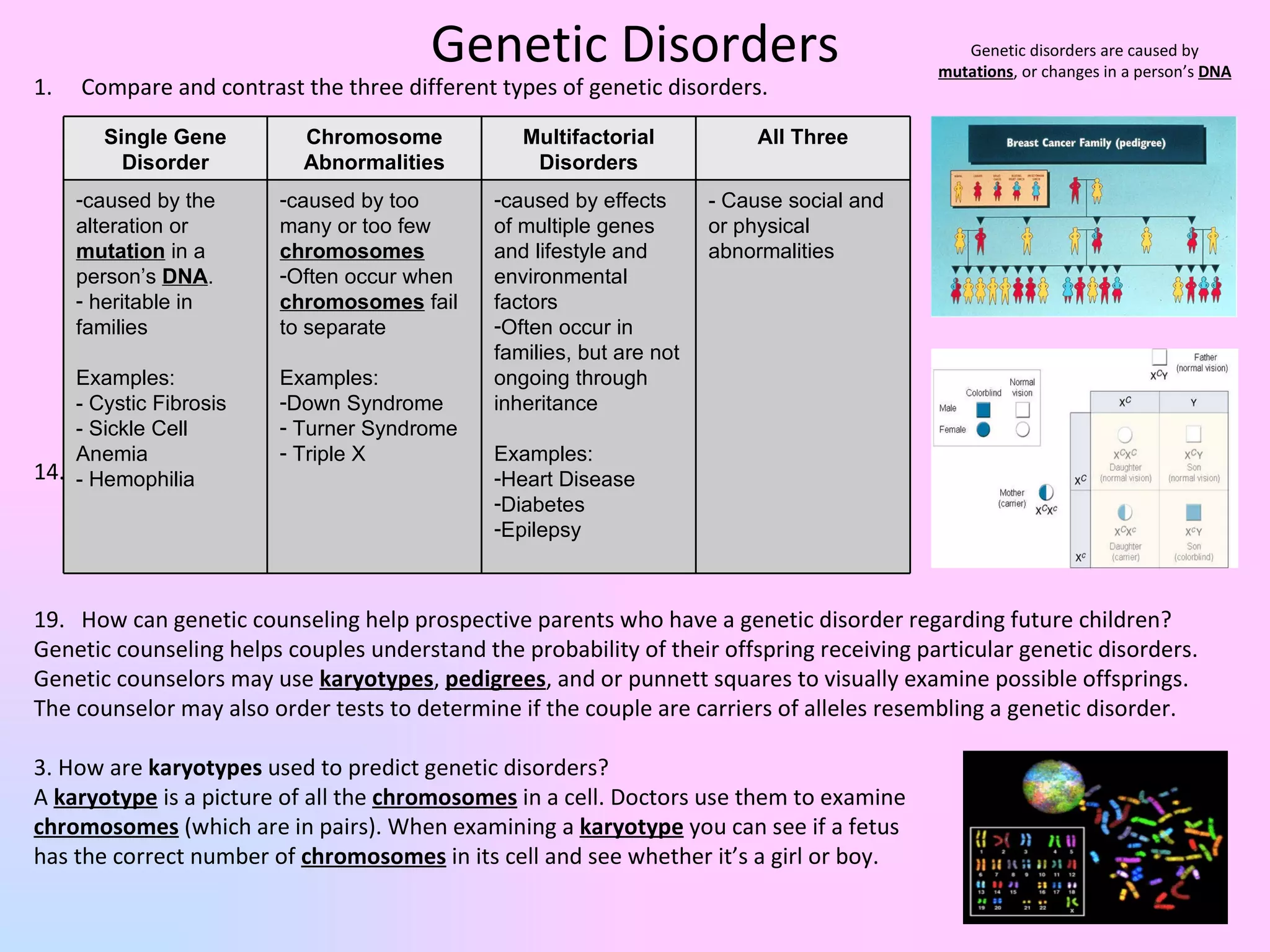 Genetics Project | PPT