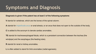 Vacterl Syndrome | PPTX
