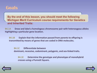 Genetics Lesson | PPTX
