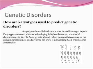 Genetics research project | PPT