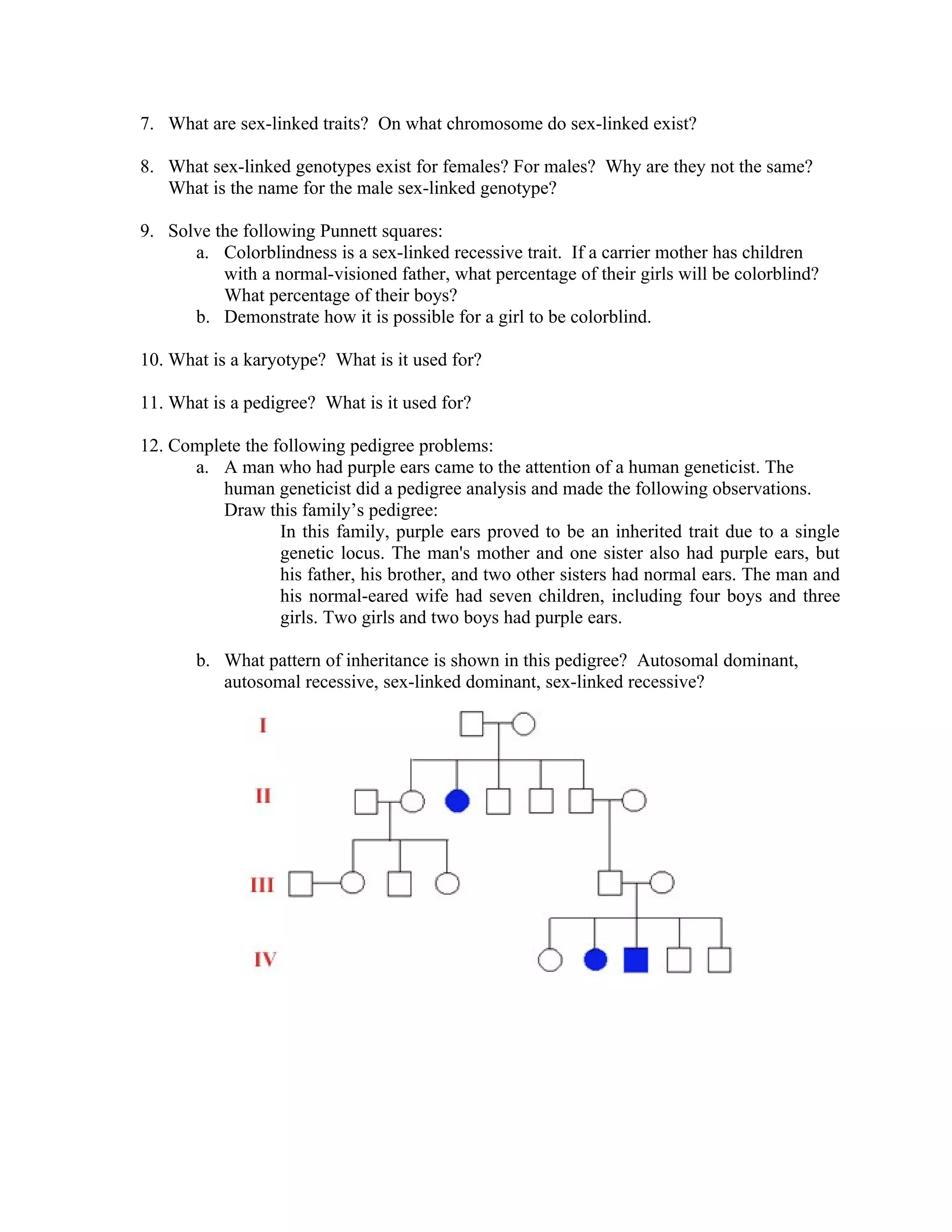 Genetics review sheet | DOC