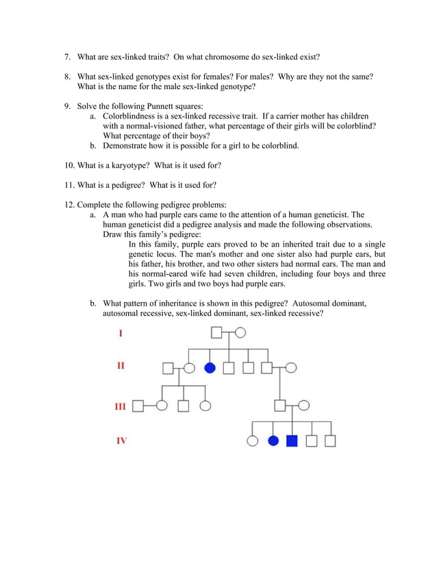 Genetics review sheet | DOC | Genetics | Science
