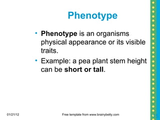 Genetics review and problems | PPT