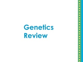 Genetics review and problems | PPT
