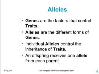 Genetics review and problems 2a | PPT